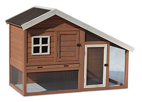 Cape Cod Chicken Coop, 4 Chicken Capacity Precision Extreme - Back ...